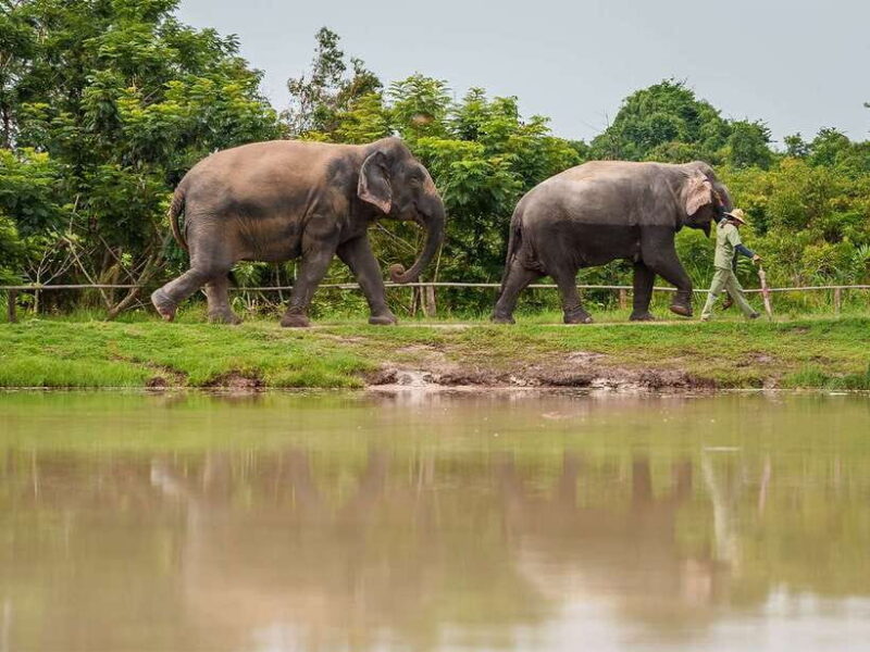 Kulen Adventure tour by Jeep with Picnic & Elephant Forest - Transportation and Group Size