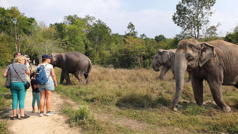 Kulen Elephant Forest & Tonlesap Lake - The Value of the Experience