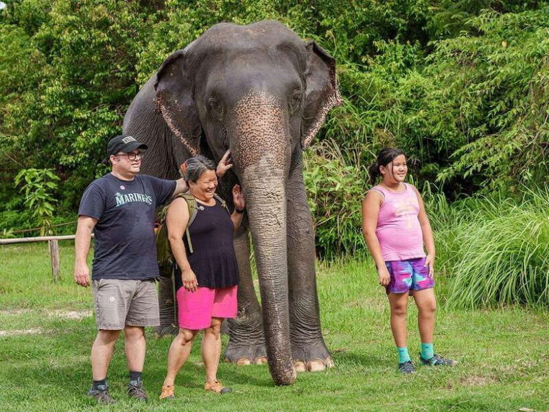 Kulen Elephant Forest Tour with Hotel Pick-up & Drop off - In-Depth Breakdown of the Itinerary
