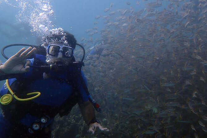 Kusadasi Scuba Diving Tour By Local Experts - The Itinerary in Detail