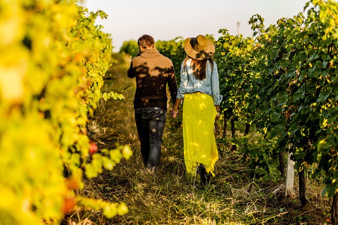 Langhe Wine & Food Tour from Turin: Barolo and More - What’s Included and What’s Not