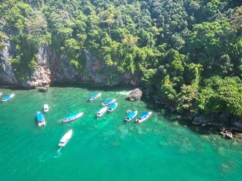 Langkawi: Half-Day Private Kilim River Mangrove Boat Tour - Analyzing the Value: What Makes This Tour Stand Out?