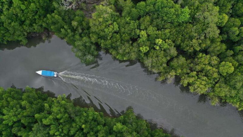 Langkawi Signature Mangrove Discovery Boat Tour (Shared) - Wildlife and Cultural Encounters