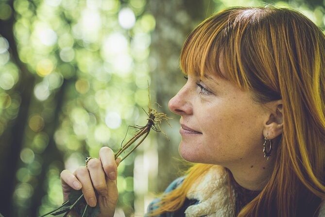 Learn to forage in Llangollen - A Practical Guide to Learning Foraging in Llangollen