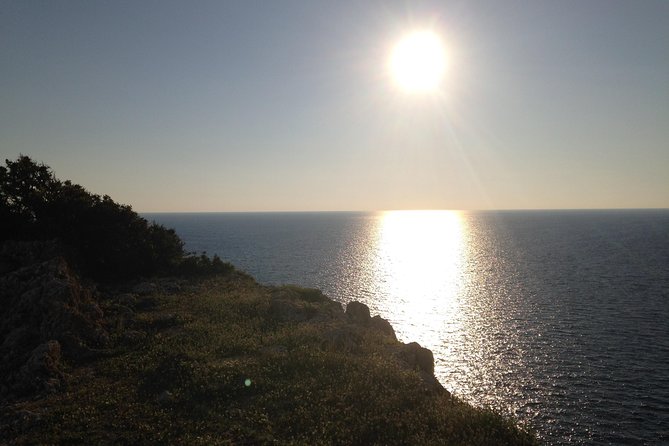 Lefkada Sunset Tour: Taste Local Wines with Breathtaking Views - Who Is This Tour Best For?