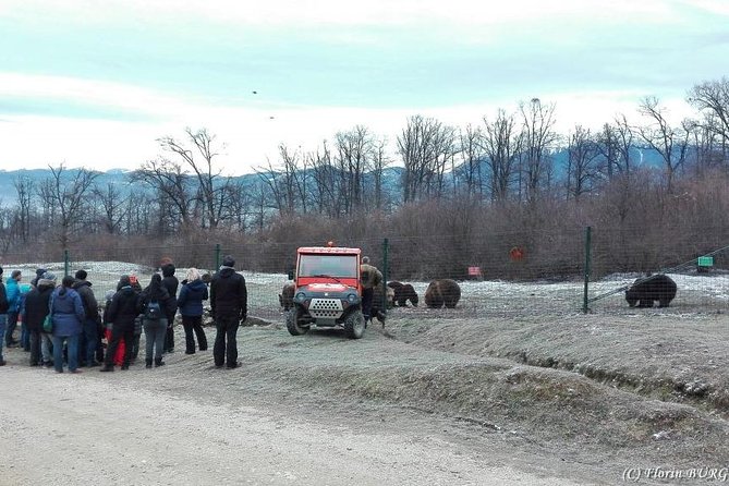 LiBEARty - the Brown Bear Sanctuary from Zarnesti - Final Thoughts: Who Would Love This Tour?