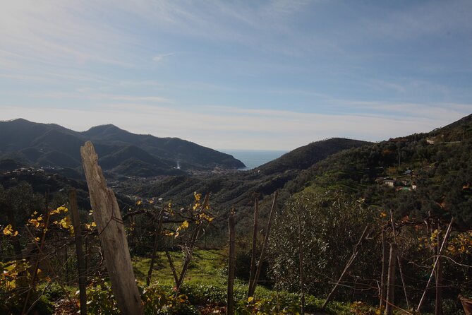 Lievàntu Wine Experience - What We Like About the Experience
