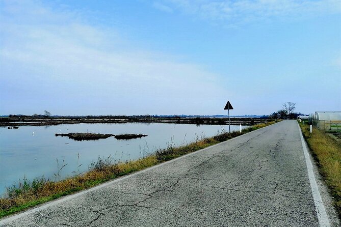 Lio Piccolo: Flamingos & Birdwatching Bike Tour in the Lagoon - Authenticity and Real-World Insights