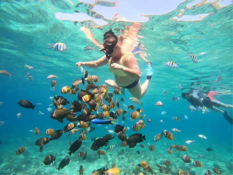 Lombok: Gili Nanggu, Sudak and Kedis Private Snorkeling Tour - The Detailed Breakdown of the Itinerary