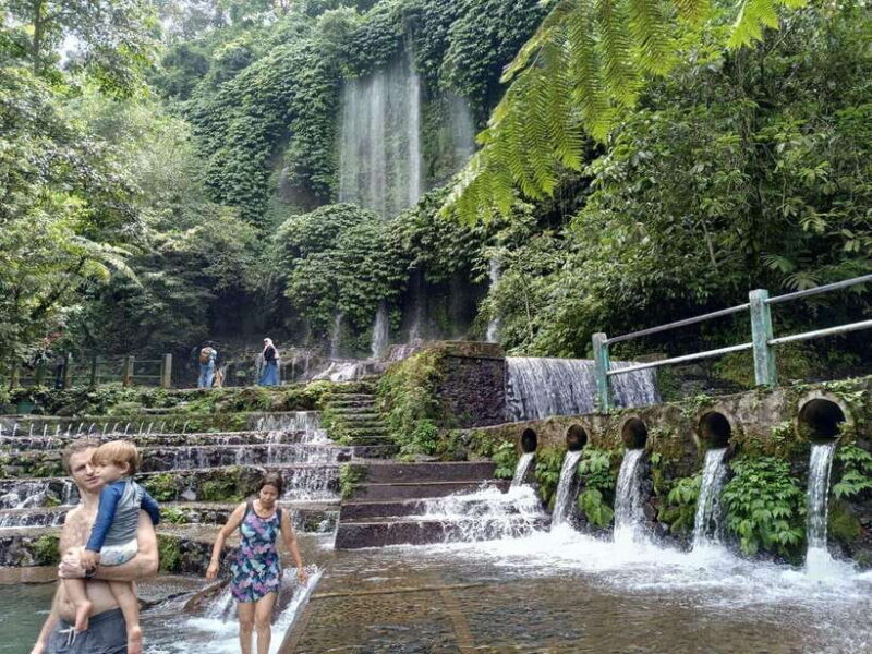 Lombok: Waterfall Benang Kelambu & Rice field Trip - An In-Depth Look at the Waterfall & Rice Field Tour