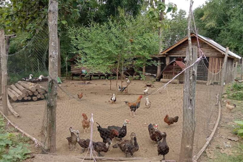 Luang Prabang: Organic Farm Experience & Hike to Kuang si - What This Tour Means for You