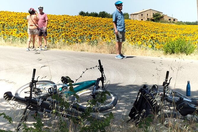 Luxury Eno and Oil experience, by e-bike and more... - Authentic, Balanced, and Fun: Who Will Love This Tour?
