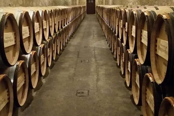 Luxury La Rioja Wineries Private Tour - Practical Tips for Potential Bookers