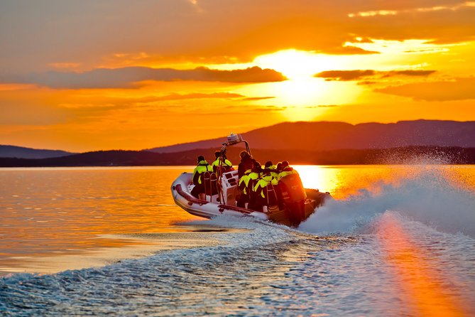 Lysefjord RIB Safari from Stavanger - Authentic Highlights and What Travelers Say