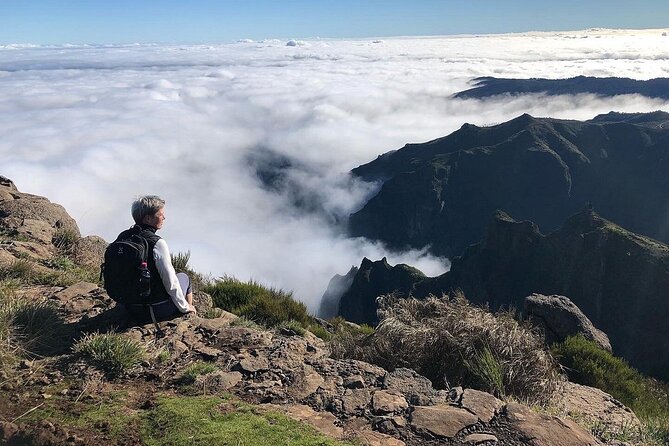 Madeira East Island Special & Levada Walking Tour with Meal and Drinks - Is This Tour Worth It?