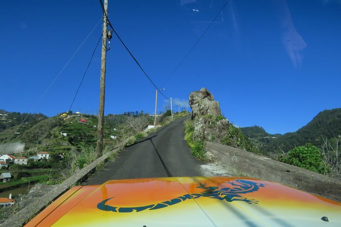 Madeira Highlights: Guided 4-Hour Tour from Funchal - Who Would Benefit Most from This Tour?