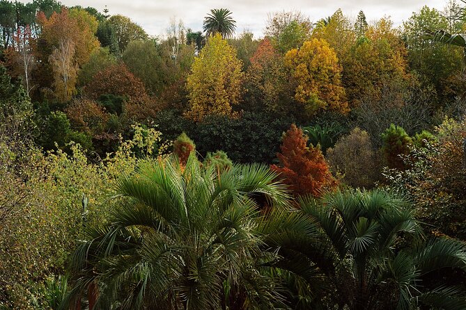 Magical and Exclusive Private Visit to the Fonte Baxa Garden, Luarca - Who Would Like This Tour?