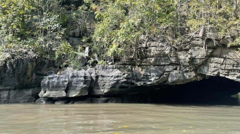 Mangrovetour Sharing Package - Lunch include in Langkawi - A Deep Dive into the Langkawi Mangroves Tour