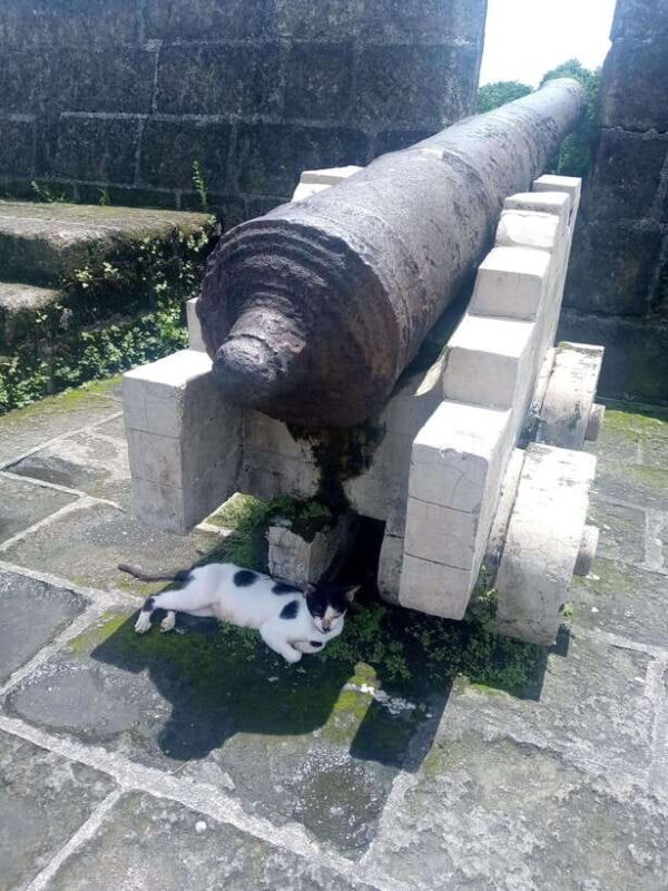 Manila: Intramuros Tour ( Dark) - The Dark Side: Ghost Stories and Historic Atrocities
