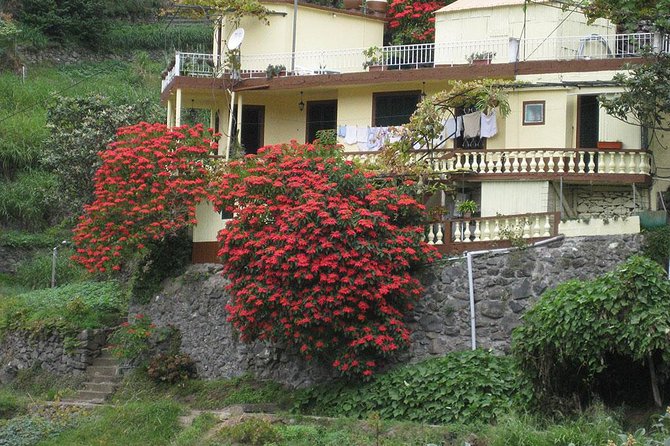 Maroços Mimosa Valley Levada Walk from Funchal - The Itinerary and What to Expect