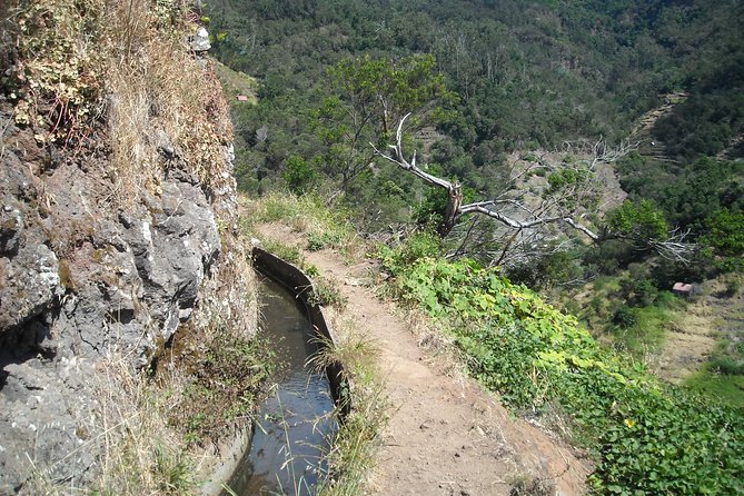 Maroços - Vale das Mimosas (Half Day Walk) - Authentic Experience and Traveler Insights