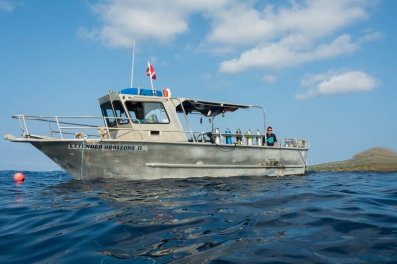Maui: Beginner Discovery Scuba Dive Excursion from Lahaina - Why This Tour Provides Excellent Value