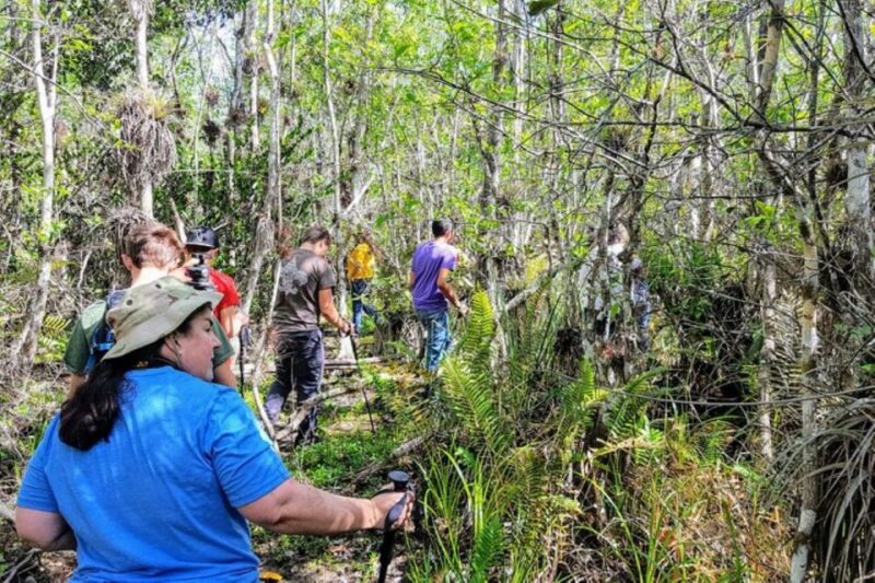 Miami: Everglades National Park Hiking and Kayaking Day Trip - What Makes This Tour Stand Out?