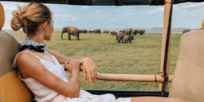 Minneriya National Park Safari in a 4x4 - Who Will Love This Tour?