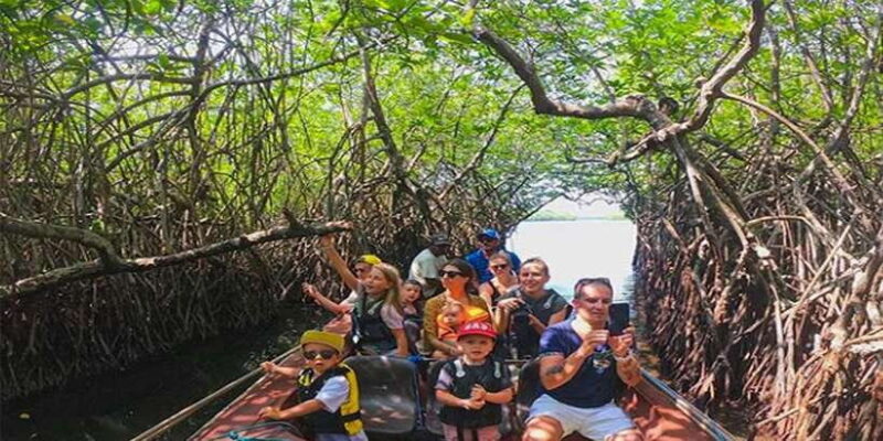 Mirissa/Weligama/Galle: Galle & Bentota Coastal Day Tour - Detailed Breakdown of the Tour Experience