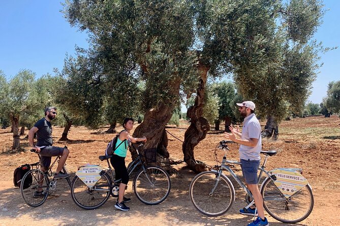 Monopoli's Countryside by Bike - Group Size, Timing & Practical Details