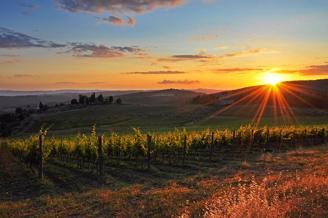 Montecarlo and Wine Tasting from Lucca Private Tour - Who Would Love This Tour?