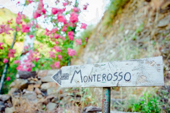 Monterosso and Portofino Shore Excursion from La Spezia - Who Should Consider This Tour