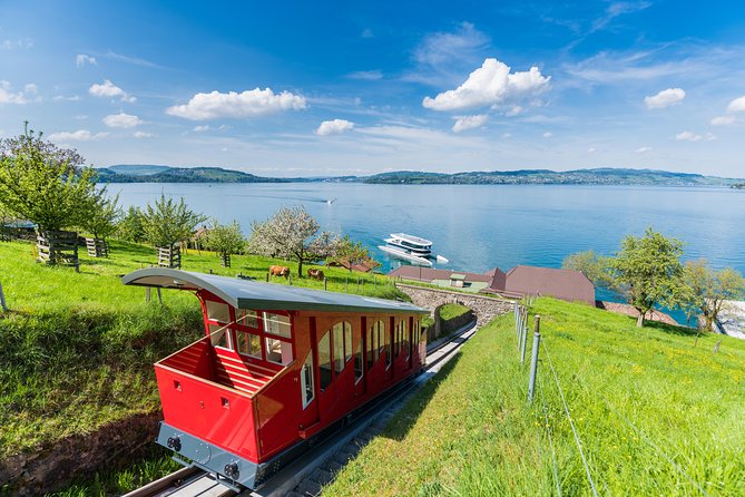 Mount Bürgenstock Independent Tour from Lucerne - Authentic Traveler Perspectives