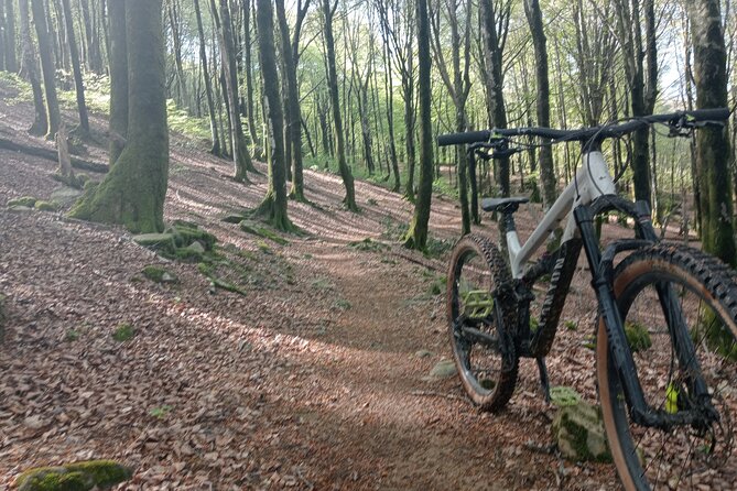 Mountain Bike Small Group Tour in San Sebastian - The Sum Up: Who Will Love This Tour?