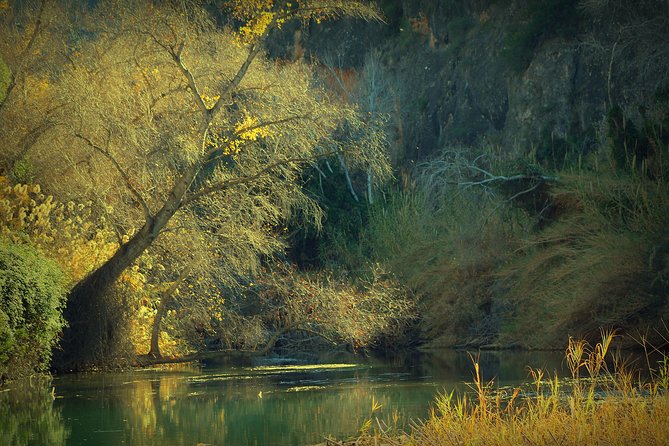 Murcia: Canyon of Almadenes Rafting, Caves & Photos - Potential Drawbacks and Considerations