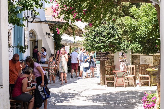 Naxos Half Day History and Culture Guided Tour - The Sum Up: Who Will Enjoy This Tour?