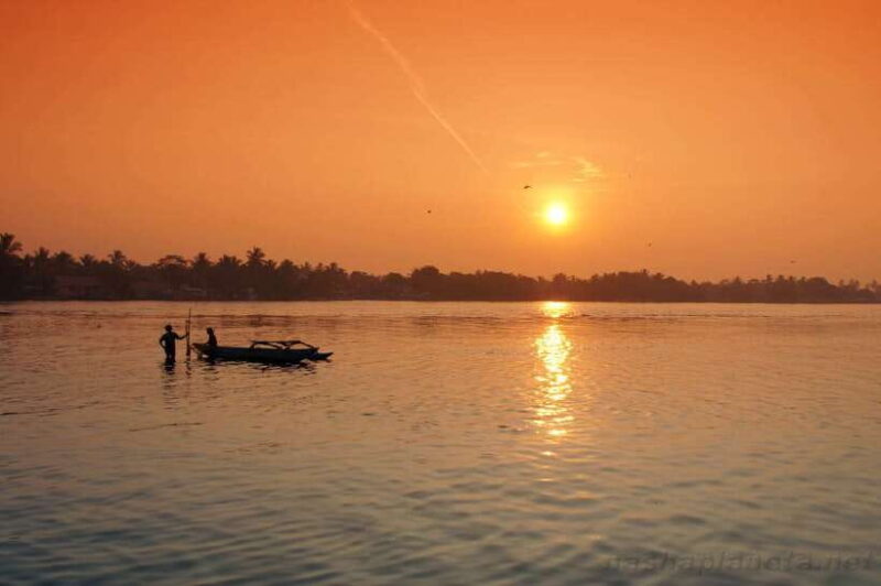 Negombo Lagoon (Mangrove ) Boat Excursion - What Travelers Say