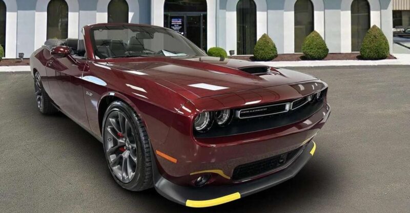 New York City: Private Tour by Dodge Challenger Convertible - Who This Tour Is Best For
