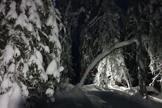 Nocturnal Skiing: Experience the Arctic's Magic - Small Group and Personal Touch