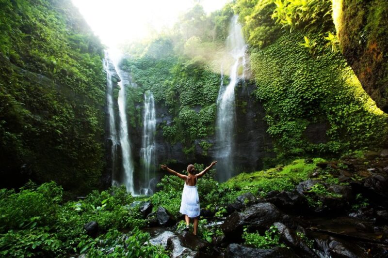 North Bali: Sekumpul Waterfalls and Ulun Danu Temple Tour - Why This Tour Works for Travelers