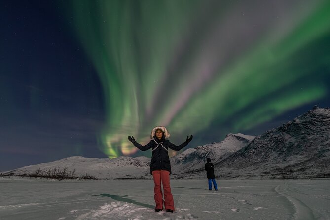 Northern Lights Chase by Minibus - Final Thoughts: Is This Tour for You?