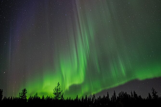 Northern Lights Hunting with a photographer (Only small groups) - The Experience: What Travelers Say