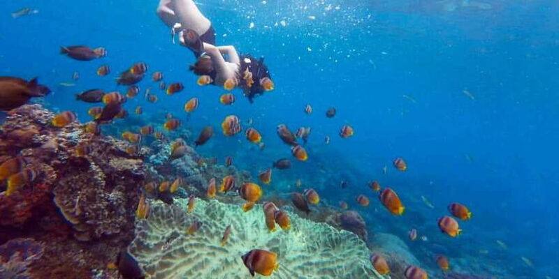 Nusa Penida: Full-Day Guided Snorkeling & Island Tour - The Itinerary: Day in Paradise