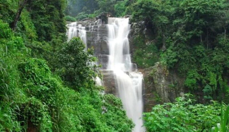 Nuwara Eliya: Guided Tour with Tea Factory Visit - Who Is This Tour Best For?