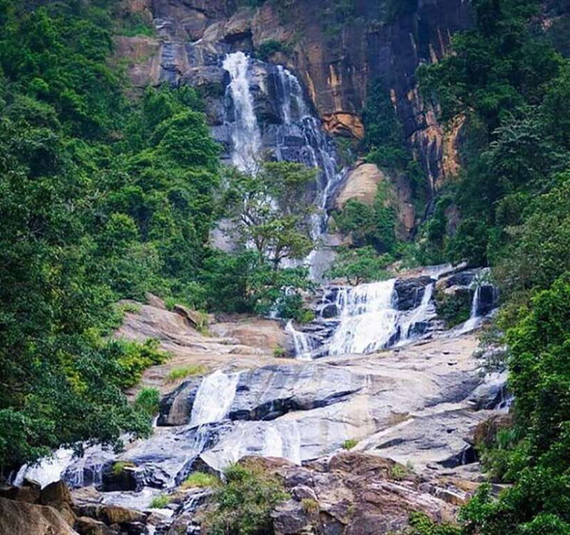 Nuwara Eliya: Tea Factory and Pickle Waterfalls Tuk Tuk Tour - The Practical Side: What to Expect