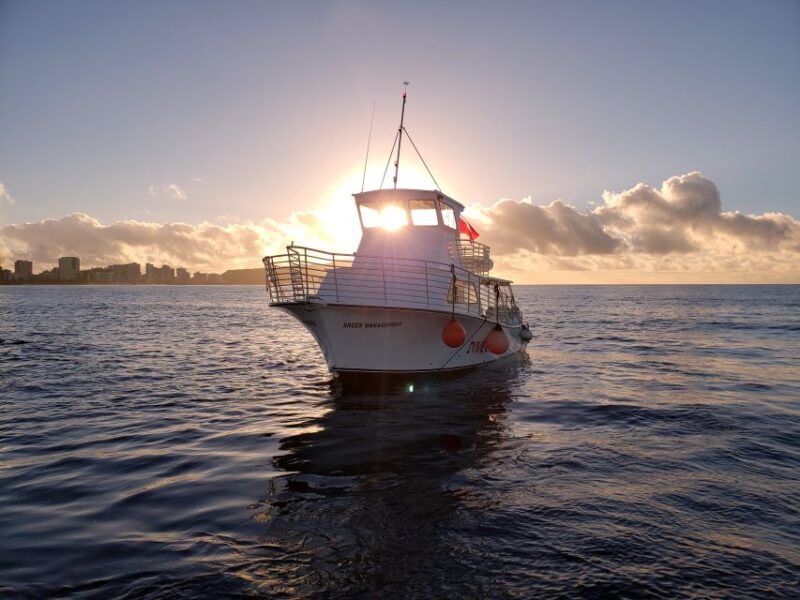 Oahu Night Dive: Adventure for Certified Divers - Why This Tour Works Well for Travelers