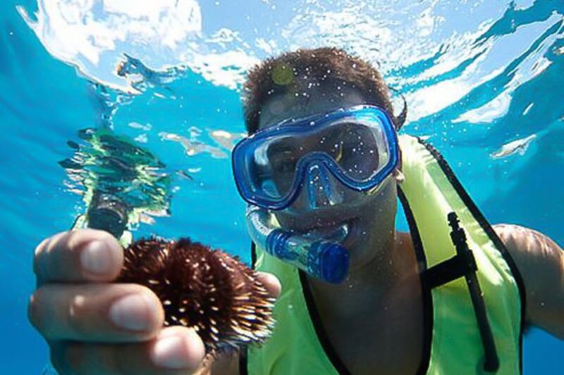Oahu: Waikiki Snorkel and Sailing Trip with Lunch - Practical Tips for a Smooth Experience