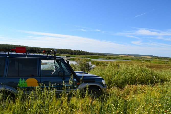 Off Road Safari Experience in Sithonia Halkidiki - What to Expect from the Experience
