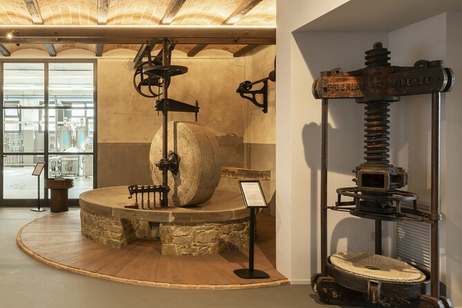 Oil museum and oil mill in Tuscany: tour and tasting - Value for Money