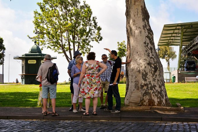 Old Funchal Walking Tour - What Do You Get for ?